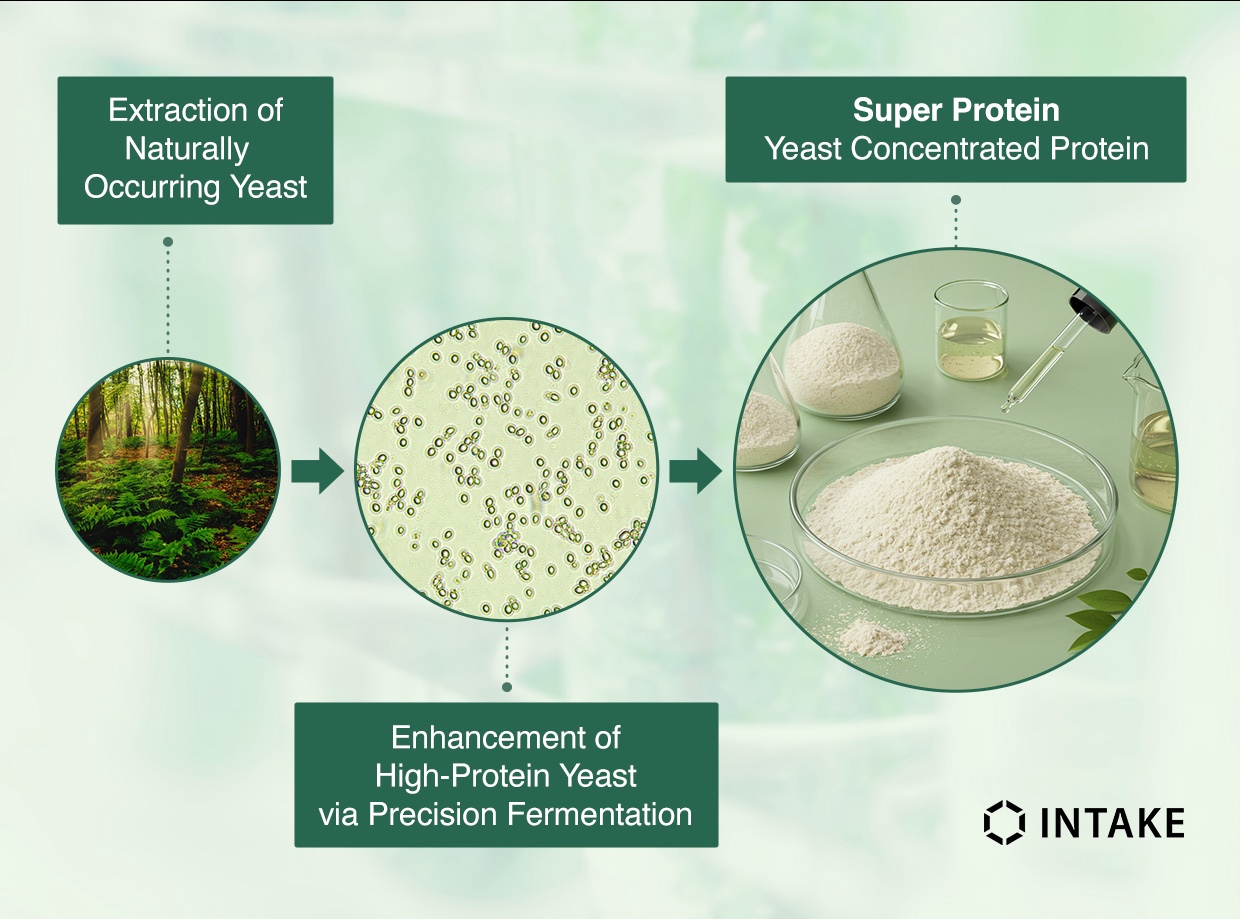Investors Bet $9M on Korean Startup's Precision-Fermented Grape Yeast ...