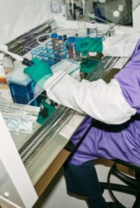 Cultivated Meat Firm Hoxton Farms Goes All-In On Asia's ...