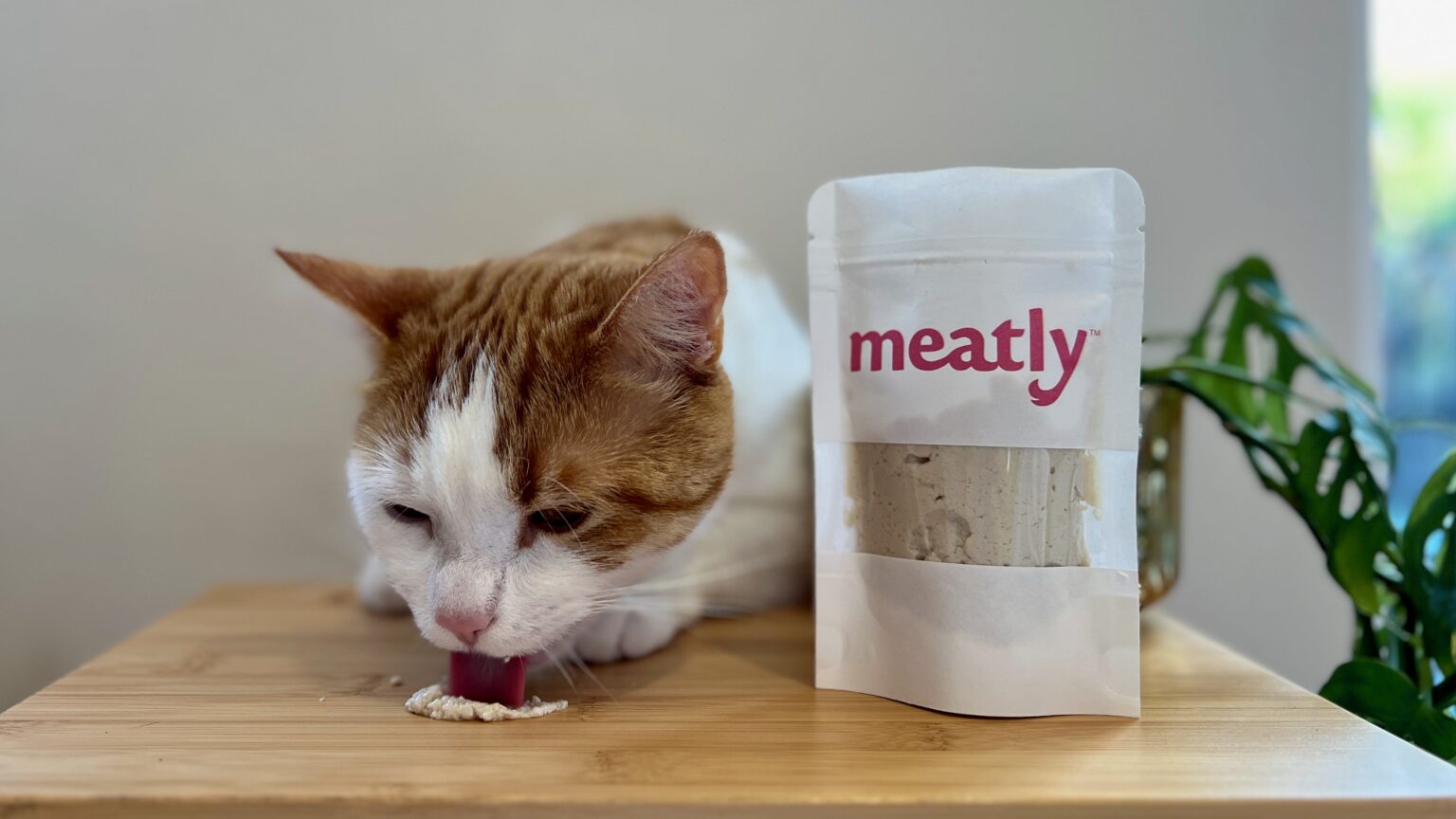 Meatly CEO: Why Are Lab-Grown Meat Bans Getting So Much Attention?