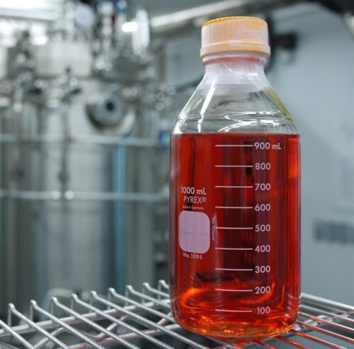 Canada's Mara Renewables Secures $9.1M to Scale Up Algae-Based Omega-3