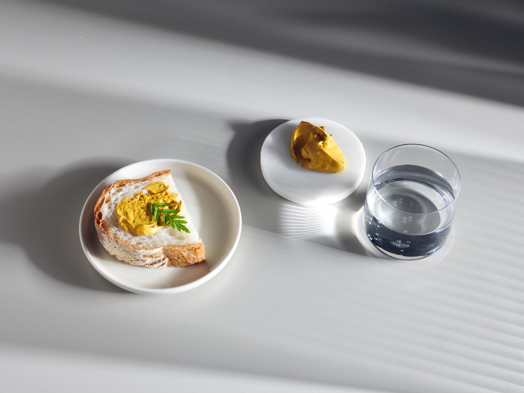 With New Factory in Sight, Solar Foods Signs Latest Deal to Bring ...