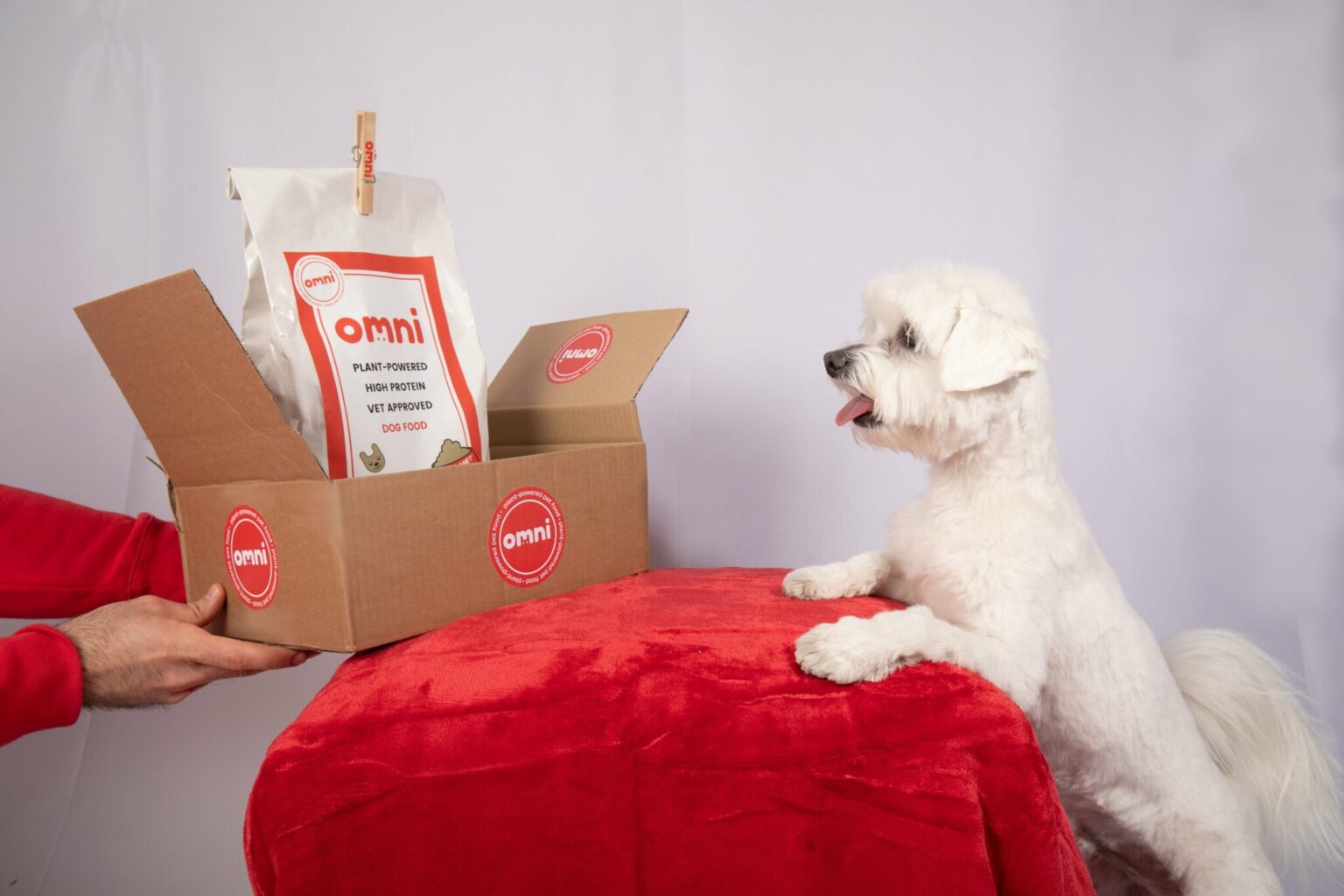 Ozempic for Dogs: UK Pet Food Startup Teases Vegan Weight-Loss Supplement