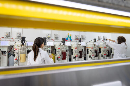 Michroma, CJ CheilJedang to Scale Fermented Natural Colours, Starting ...