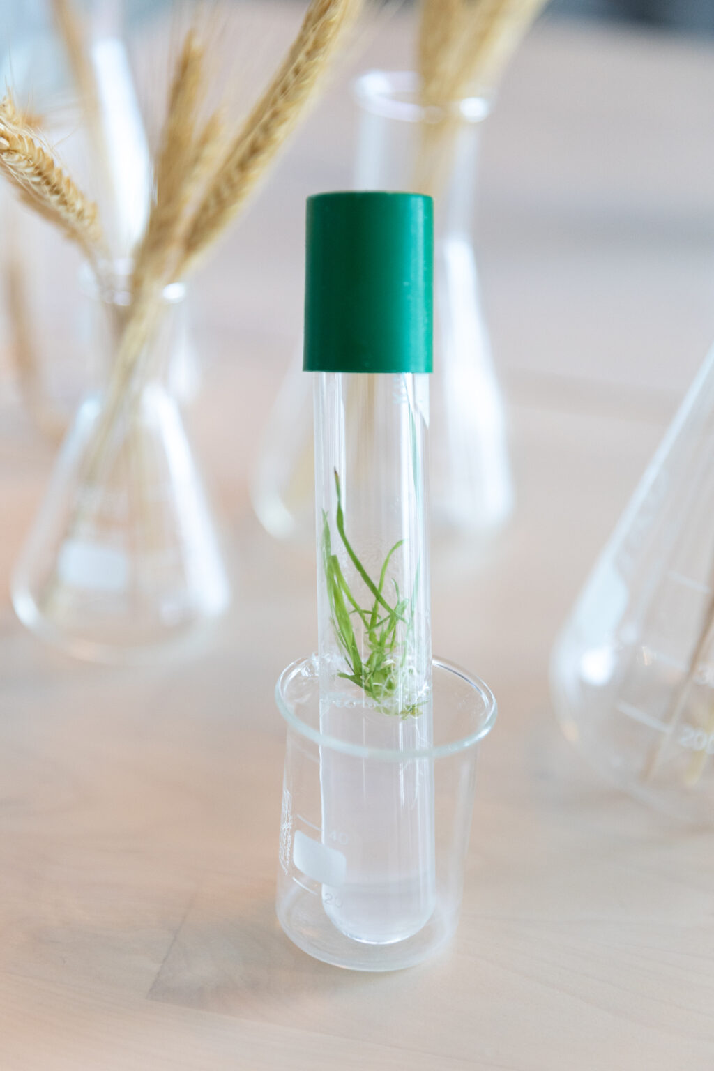 Iceland's ORF Genetics Gets $5.8M to Advance Lab-Grown Meat via ...