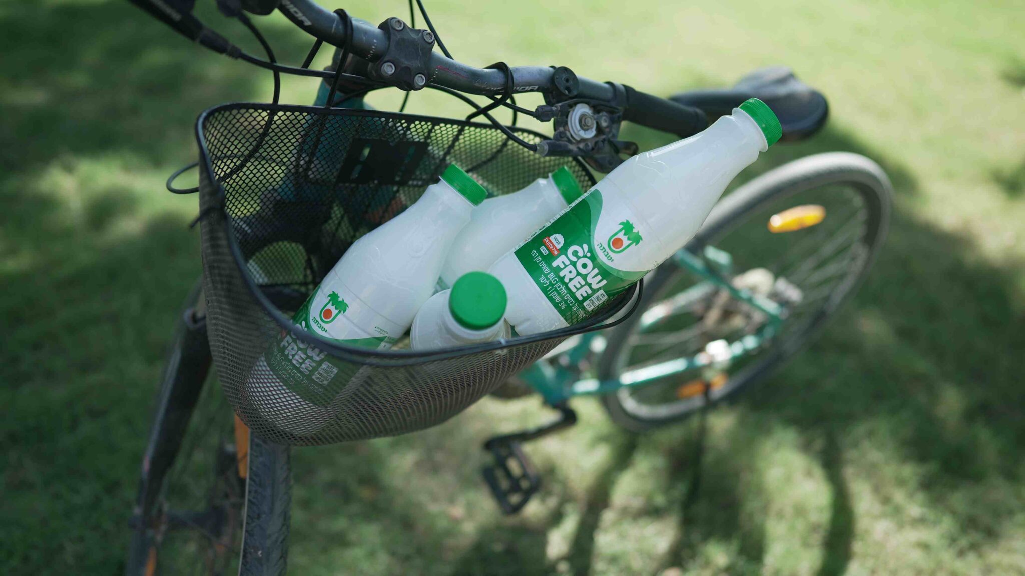 Strauss Group Unveils Cow-Free Milk & Cheese with Imagindairy's Whey ...