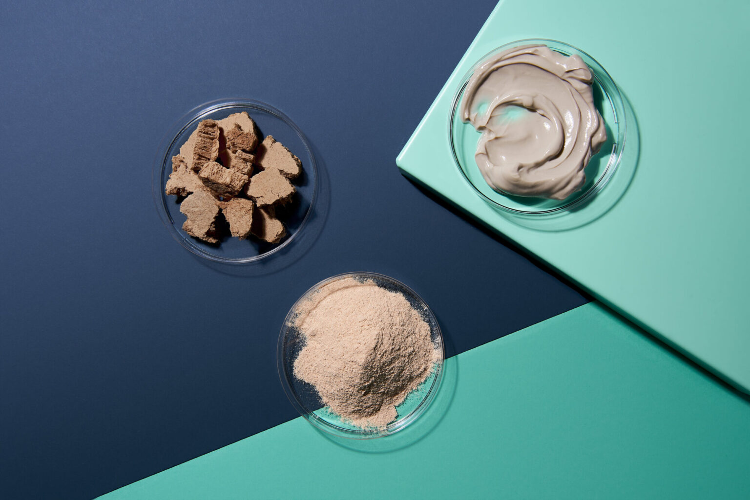 UK-First Dog Food Promotes Gut Health with Microbial Protein