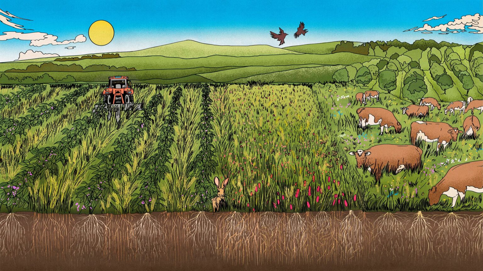 The Latest Sustainability Trend in Plant-Based Milk? Regenerative Farming