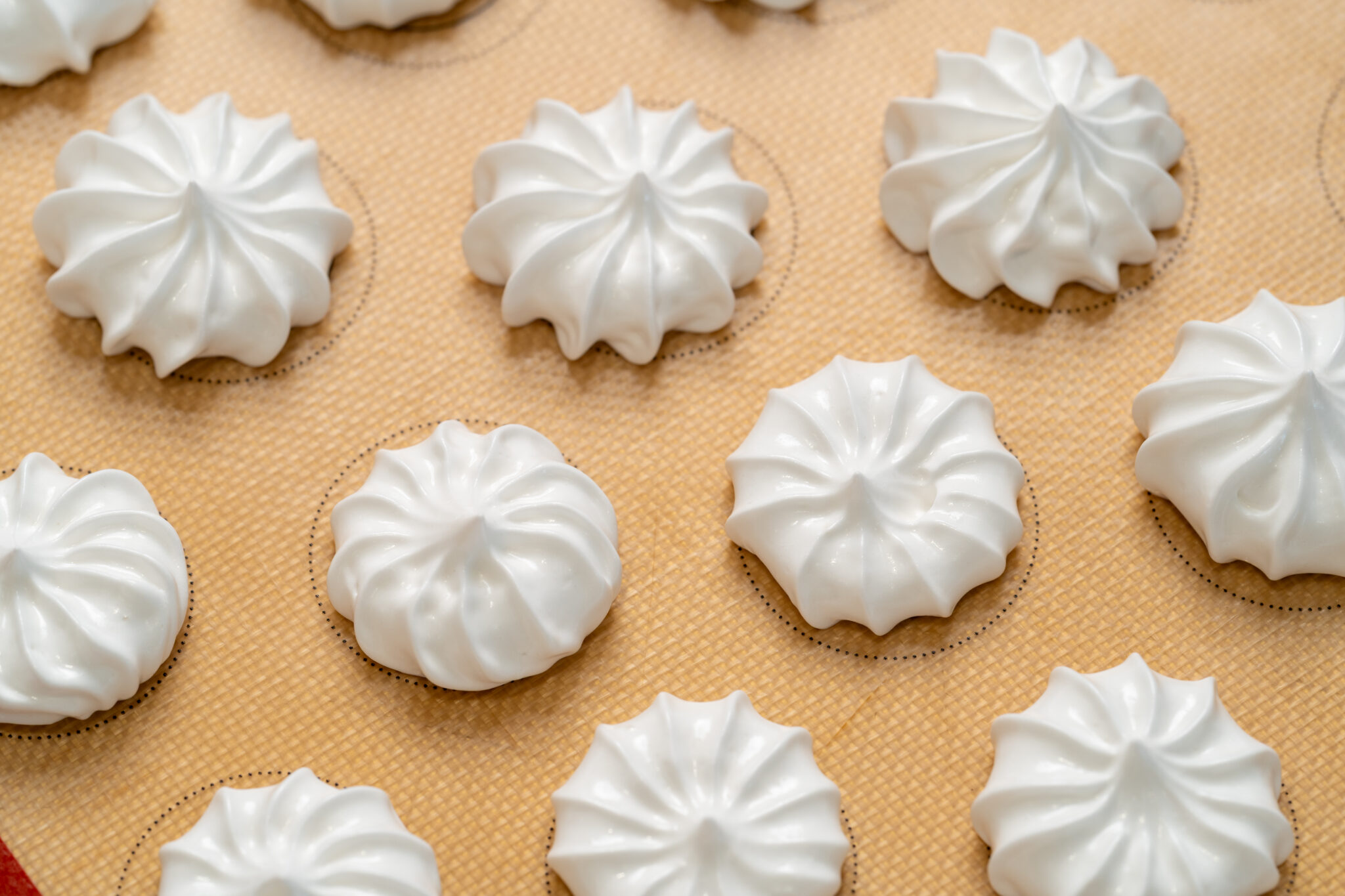 The Every Company Raises $55M As Animal-Free Egg Protein Hits Walmart