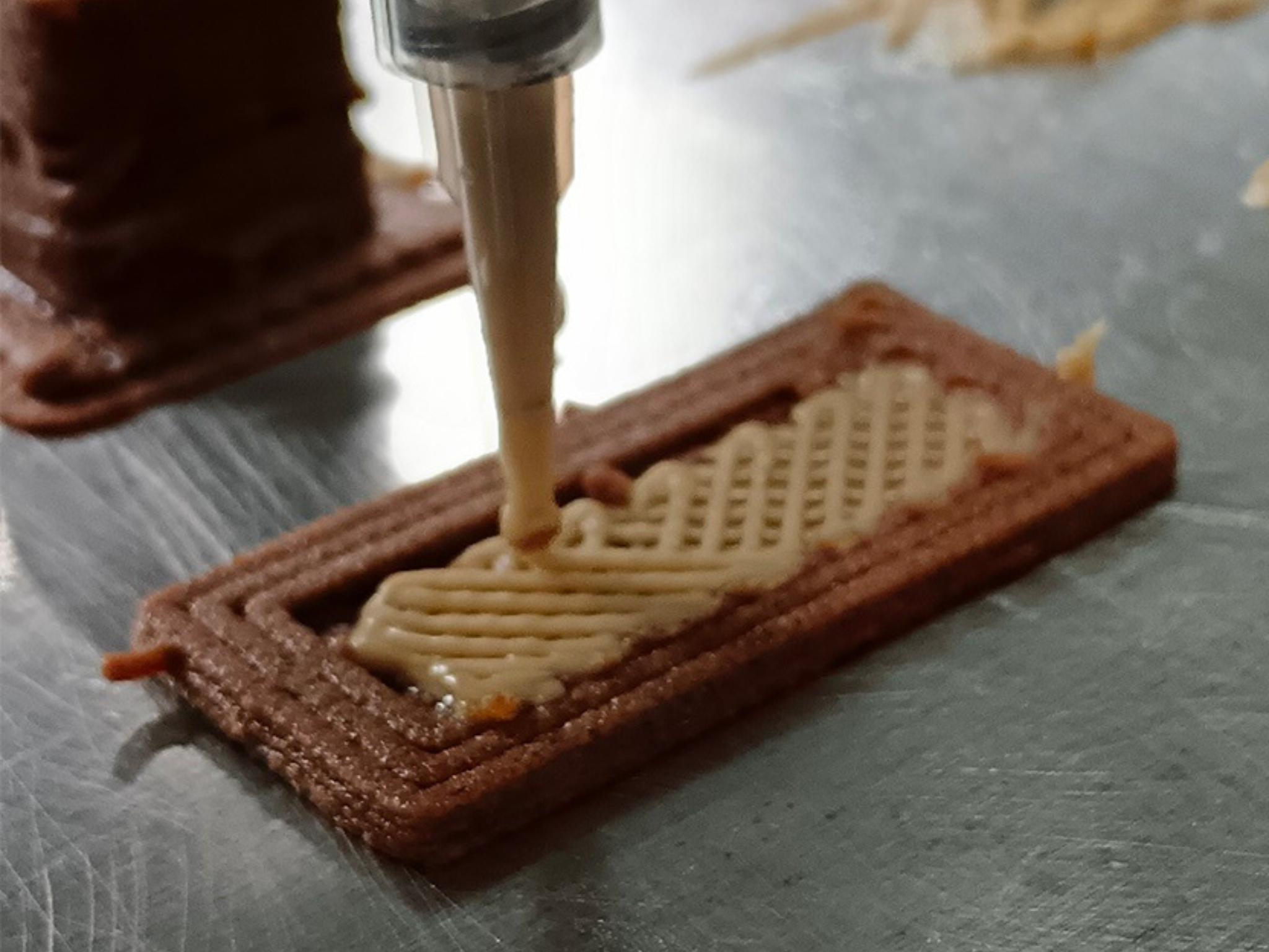 Italian Scientists Create 3D-Printed Snacks with Plant Cell Culture ...