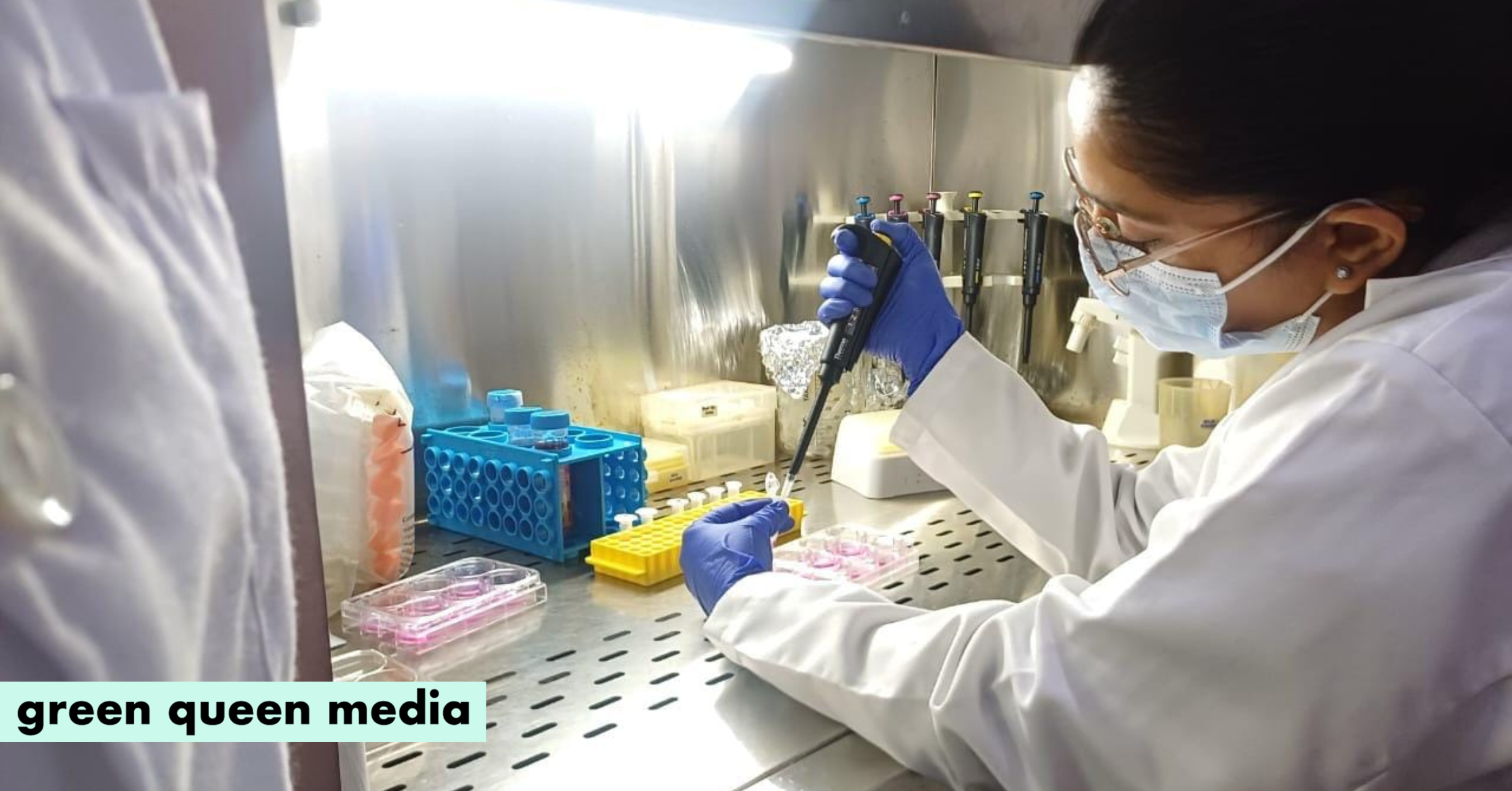How India's Alternative Protein Job Market Can Solve Its Talent Shortage