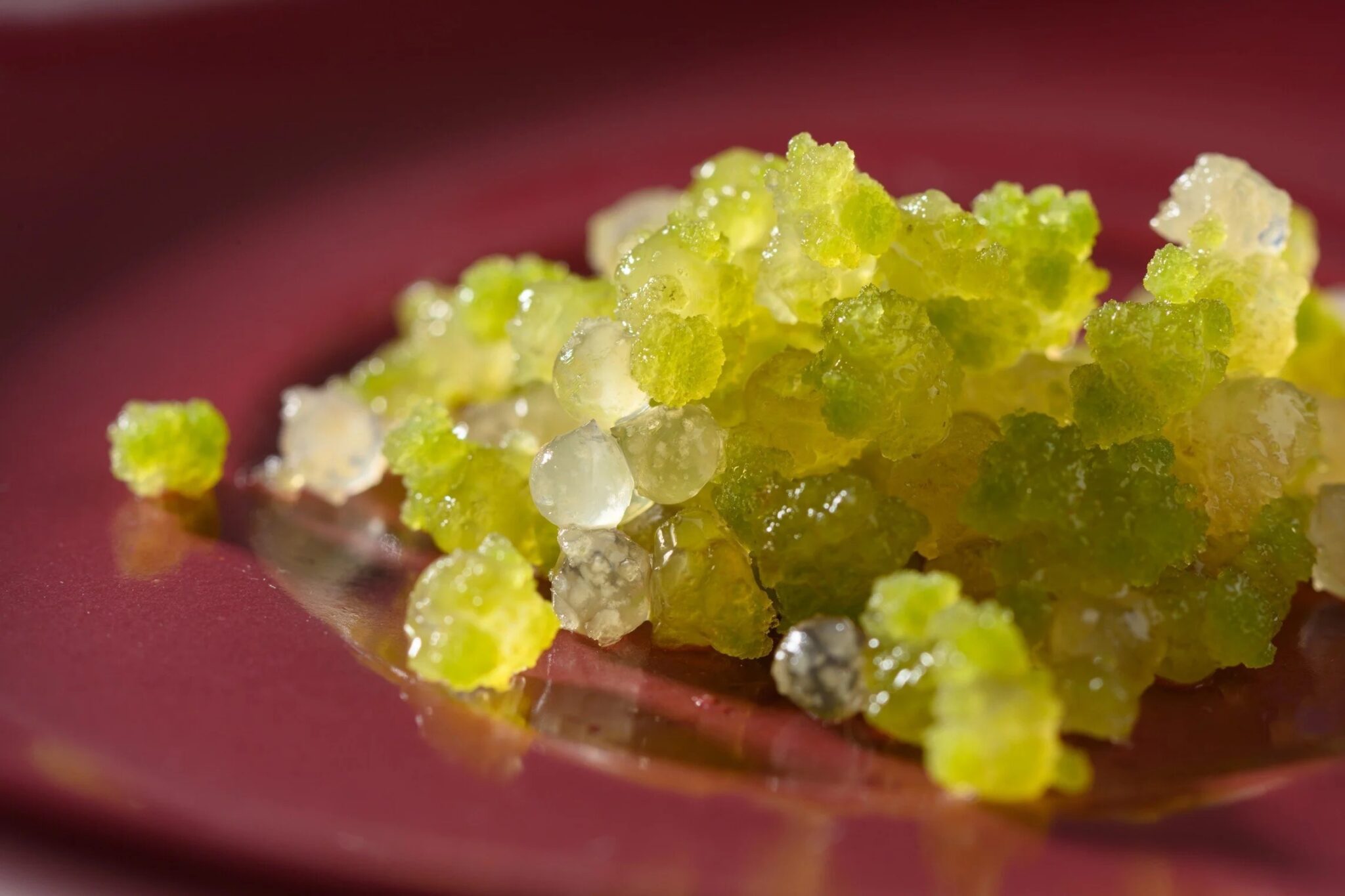 NZ Startup Gets Funding to Produce Lab-Grown Fruits & Nuts