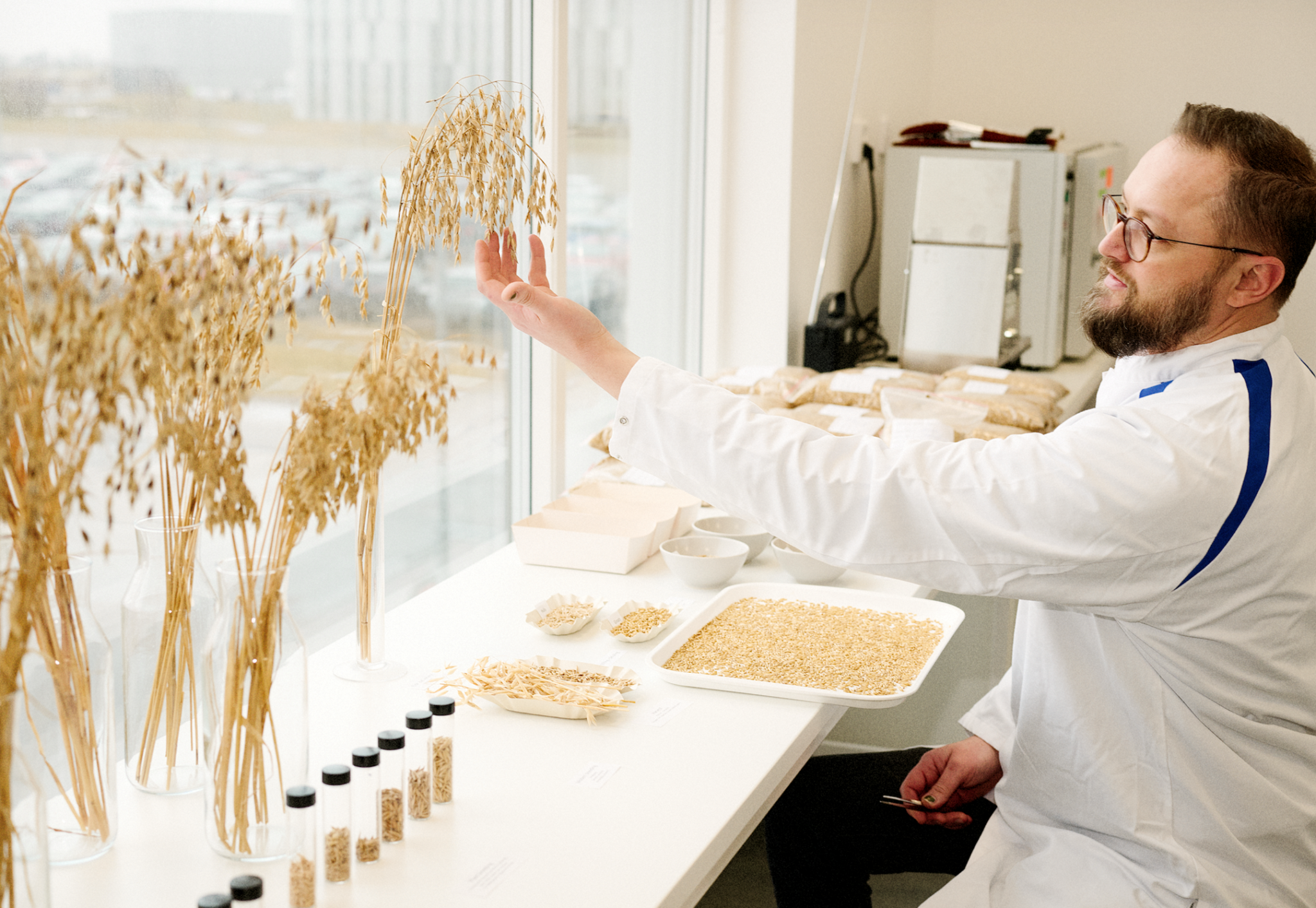 Oatly Invests $16M in Swedish Factory to Meet 'Growing Demand' for Oat Milk
