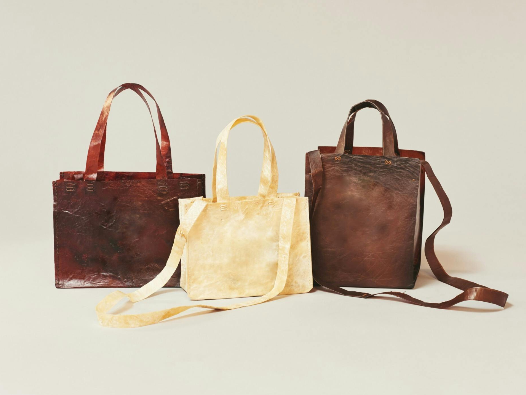 Bezos Earth Fund Bets $34M on Lab-Grown Cotton & Silk for Sustainable ...