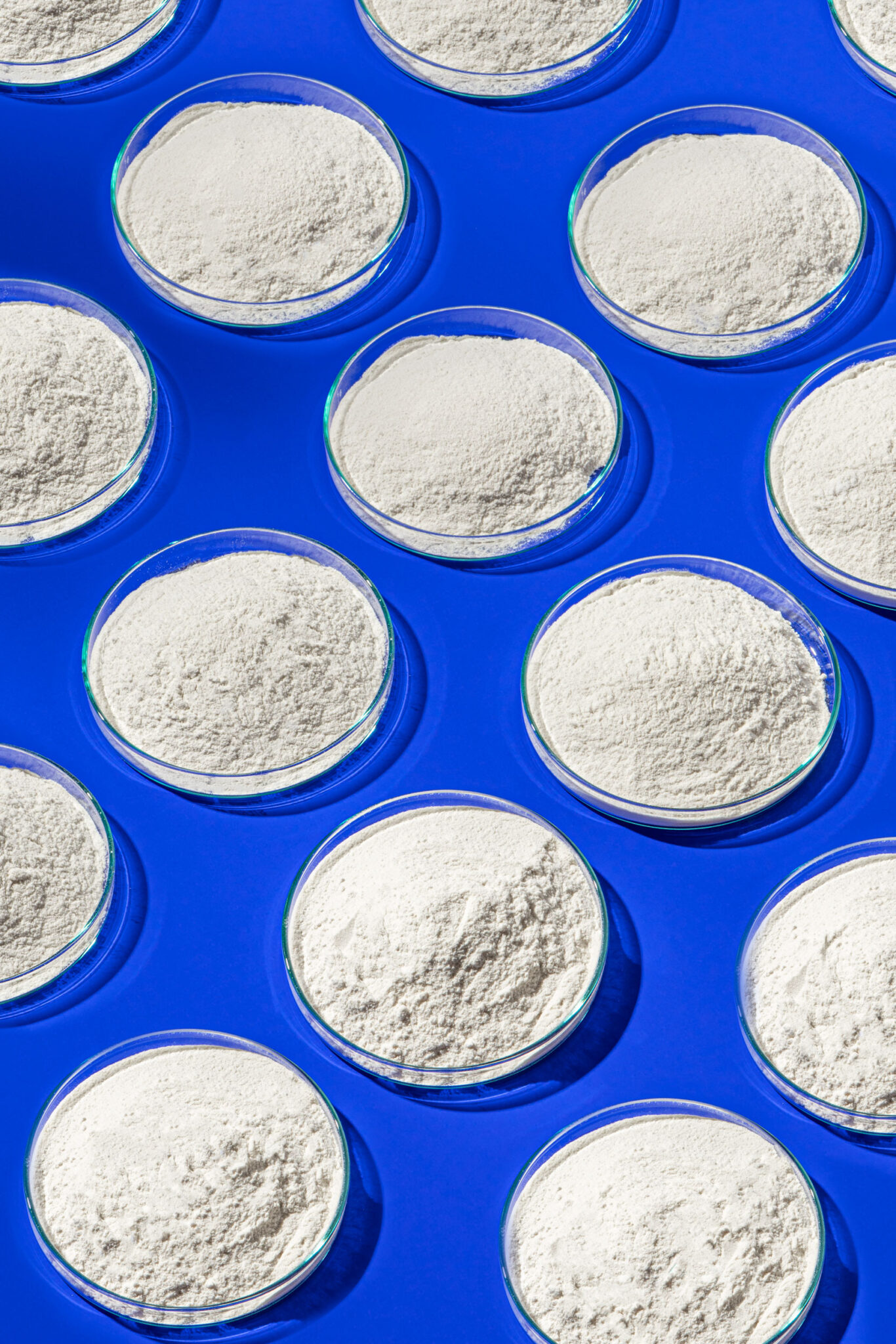 Formo Cleared to Sell Cow-Free Casein in US, Expects FDA Letter This Year