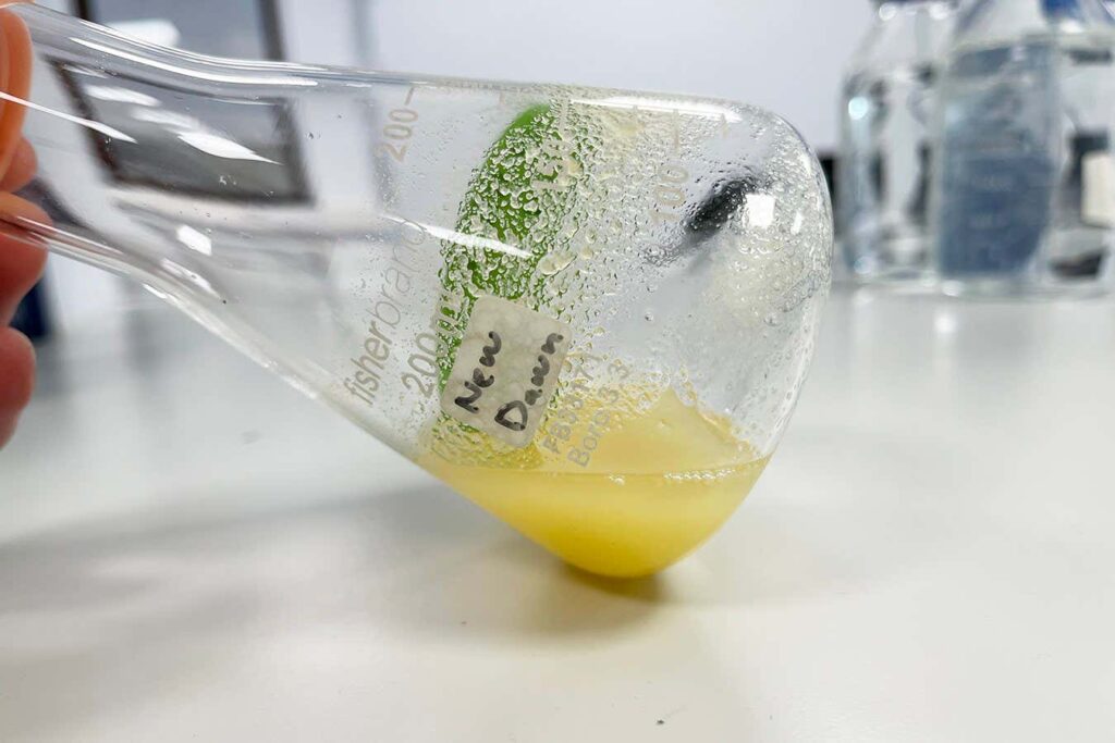 New Dawn Bio Nabs $2.4M to Grow Lab-Grown Wood, Minus the Deforestation